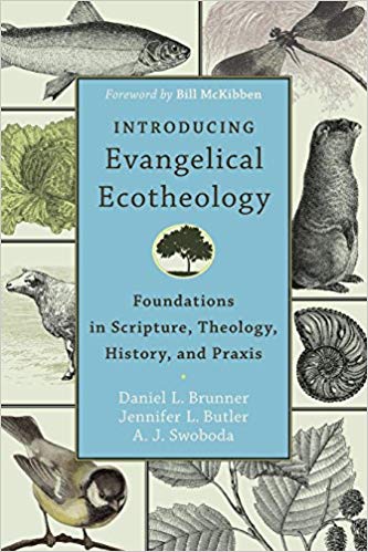 Introducing Evangelical Ecotheology: Foundations in Scripture, Theology ...