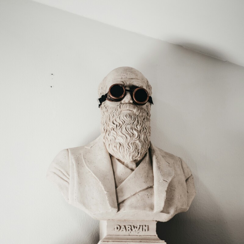 Engaging the Heart to Improve Learning: Rediscovering the Inseparable ...